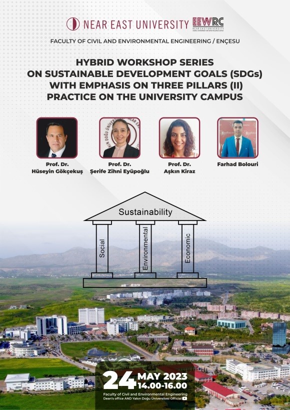 Hybrid workshop series on Sustainable Development Goals (SDGs) with emphasis on three Pillars ...